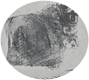 DNA and fingerprint recovery from an arson scene - MedCrave online