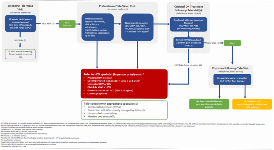 A simplified algorithm for managing hepatitis C infection by leveraging ...