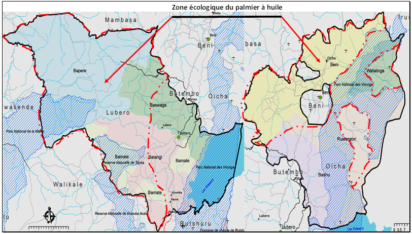 Potential of palm oil-based agro-diesel in Butembo region in eastern ...