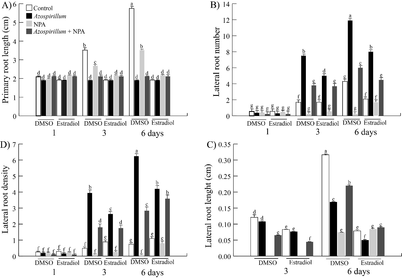 TOR participation on the root system changes of Arabidopsis during its ...