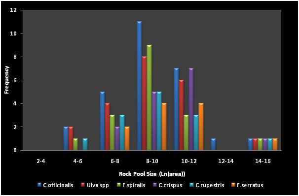 The Correlation between Rock Pool Size and Species Diversity - MedCrave ...