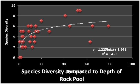 The Correlation between Rock Pool Size and Species Diversity - MedCrave ...