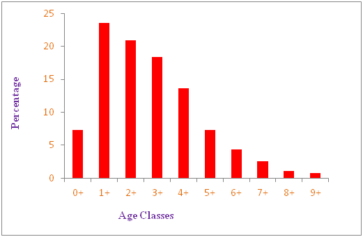 Age structure of non-native fish species, Cyprinus carpio (Linnaeus ...