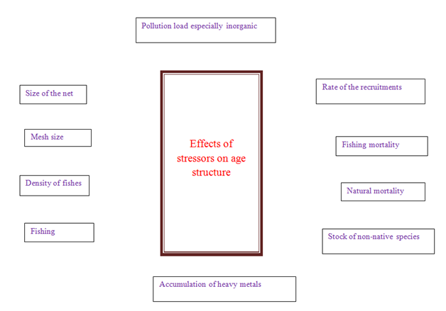 Age structure of non-native fish species, Cyprinus carpio (Linnaeus ...
