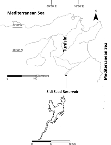 Characterization of socio-economic fishing activity in tunisian ...