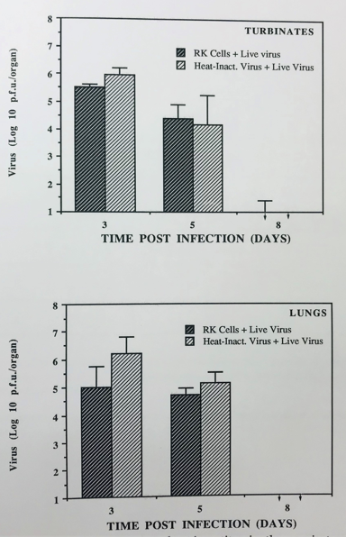 No protection seen on challenge with live virus after single intranasal ...