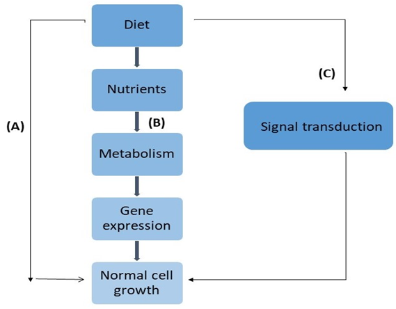 Importance of nutrigenomics and nutrigenetics in food Science ...