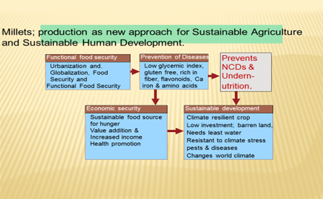 Functional food security, why not just, food security for public health ...
