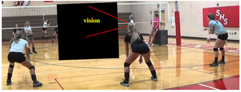 Studies about the vision of the volleyball player during the skills ...