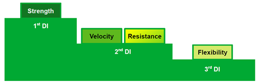 Specific periodization for the volleyball: the importance of the ...