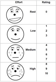 Specific periodization for the volleyball: the importance of the ...