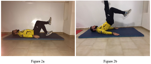 Methodology and exercises to reduce the hamstring injury risk: from ...