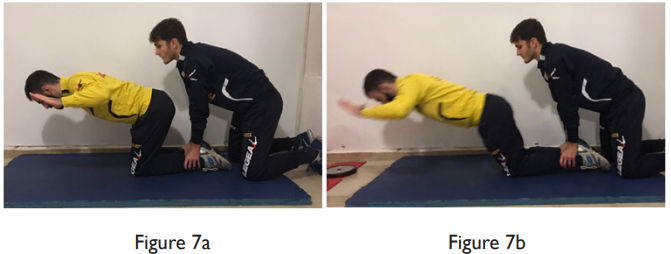 Methodology and exercises to reduce the hamstring injury risk: from ...
