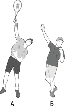 Tennis serves versus baseball pitch: similarities and differences ...