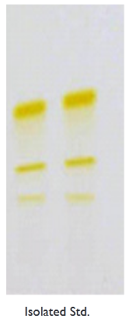Development and evaluation of herbal cream containing Curcumin from ...