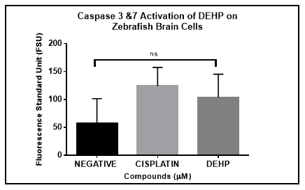 Mechanism involved in cell death induced by DEHP (Di-ethylhexyl ...