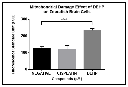 Mechanism involved in cell death induced by DEHP (Di-ethylhexyl ...